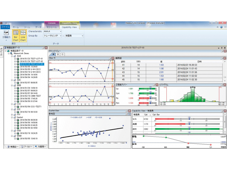 Process Analyzer Professional - MeasurLink